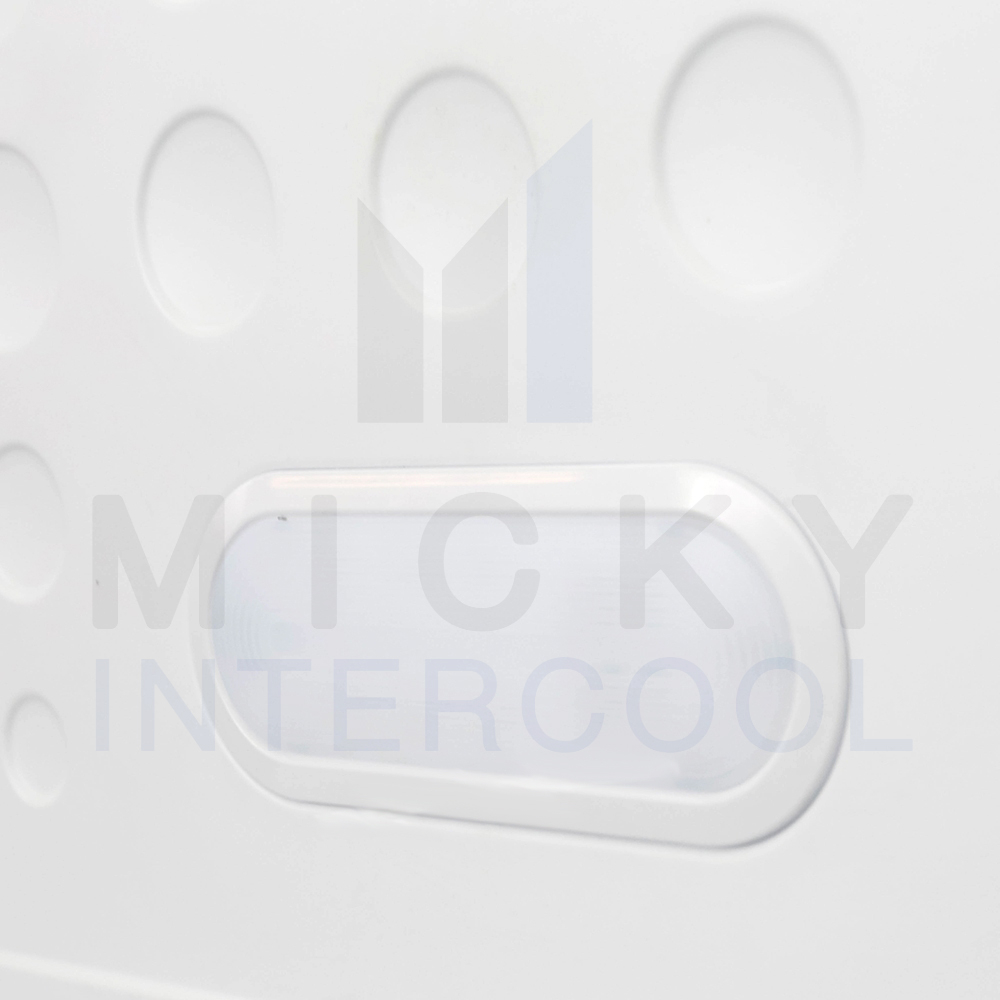 Micky Intercooler | Products