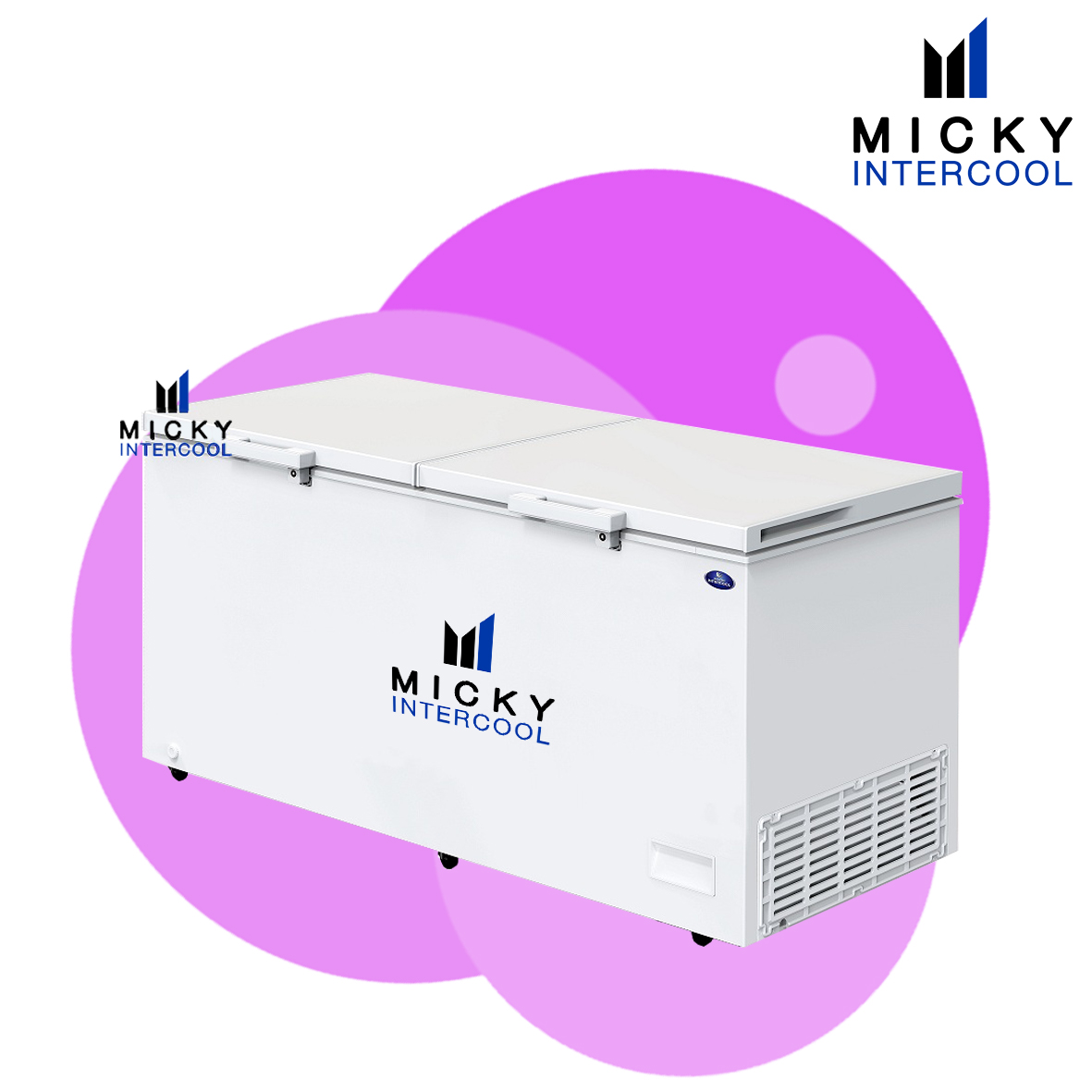 Micky Intercooler | Products